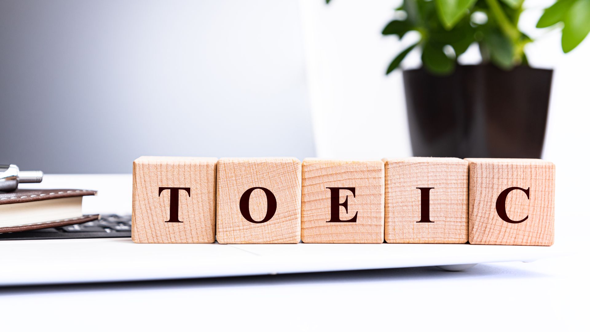 Quelle école pour une préparation du TOIEC à Paris